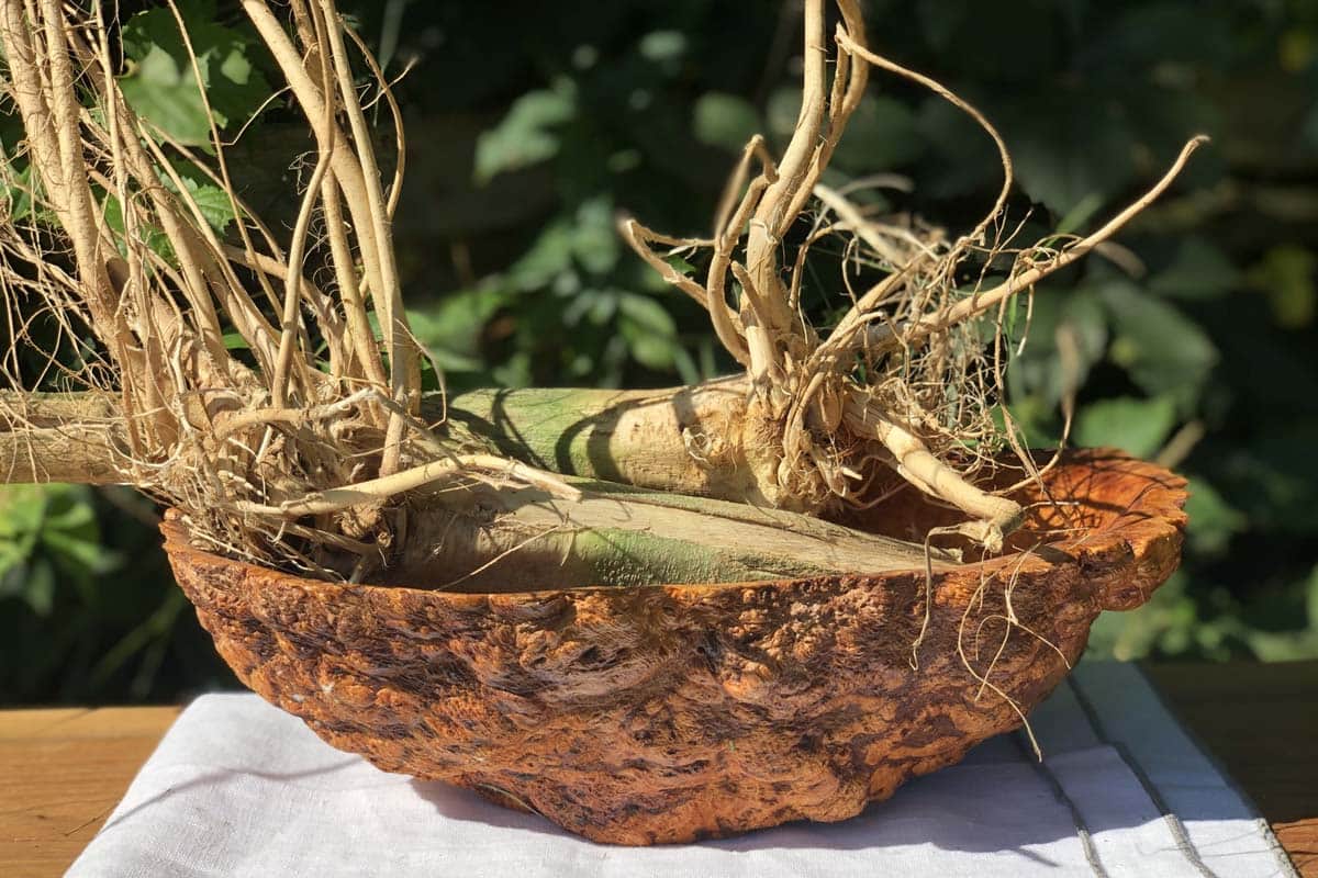 empyri blog | getting back to our roots